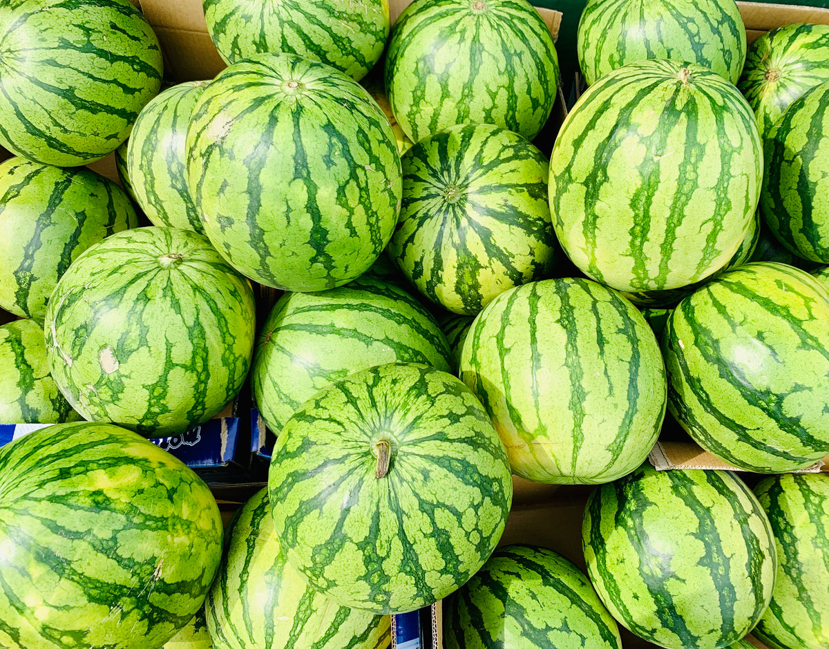 Watermelon Spanish – The Online Greengrocer