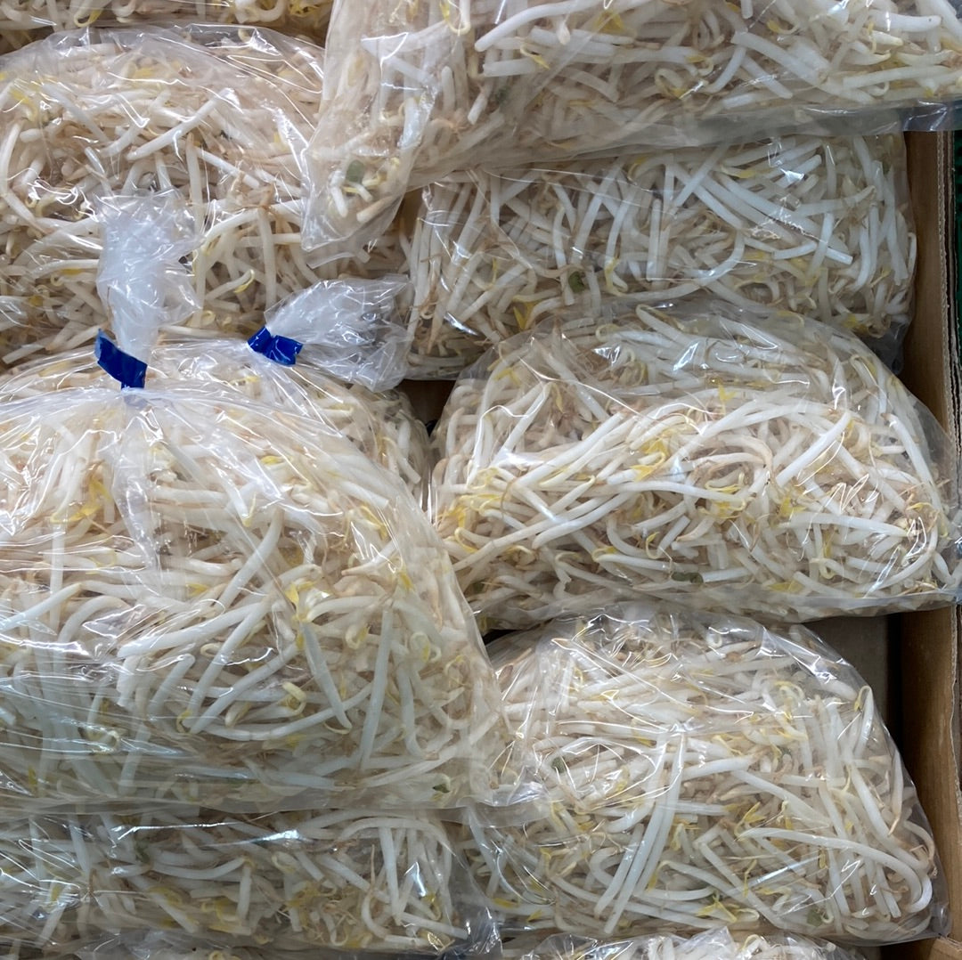 Bean Sprout bag – The Online Greengrocer