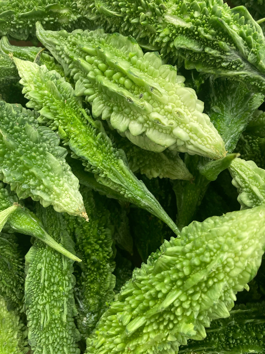 Karela 500g – The Online Greengrocer