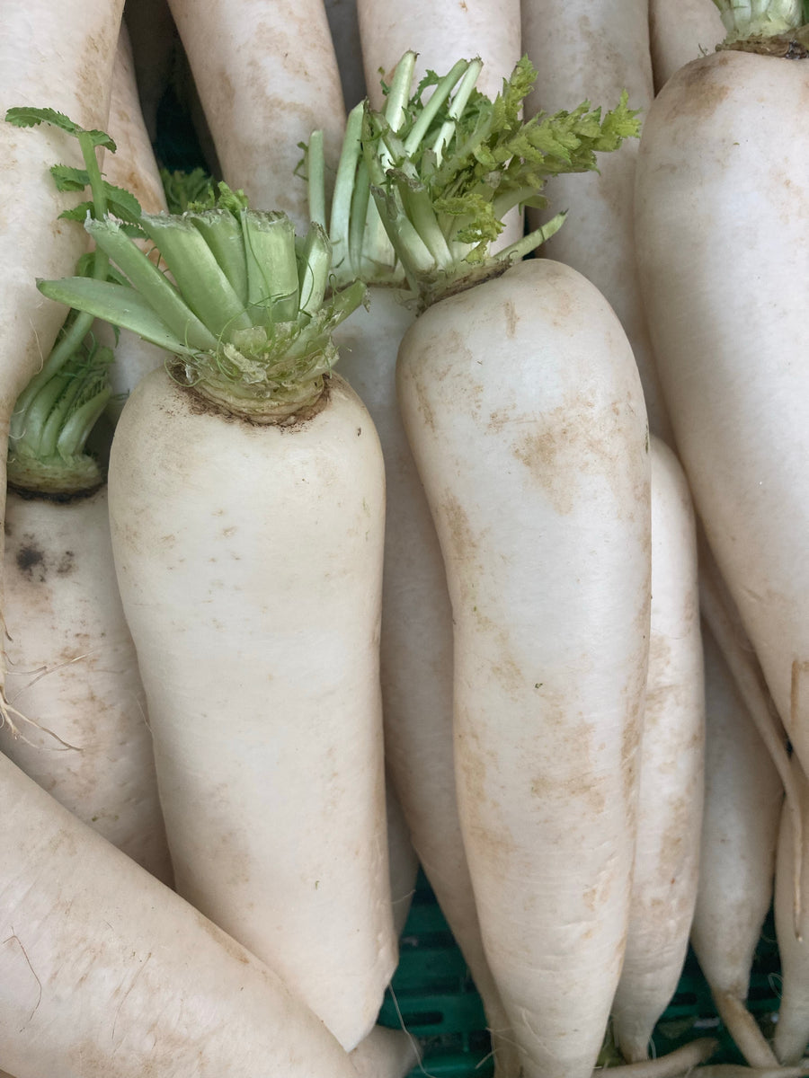 Mooli – The Online Greengrocer