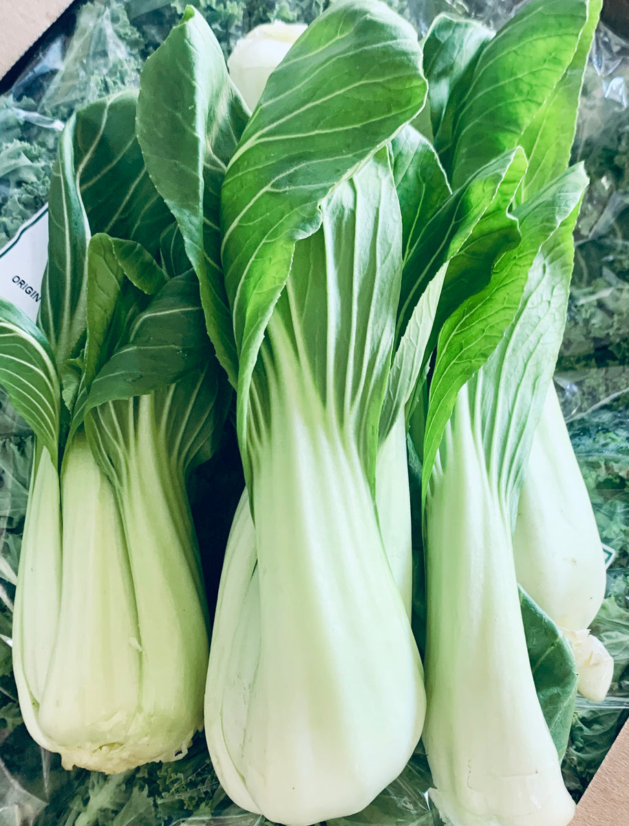 Pak choi – The Online Greengrocer