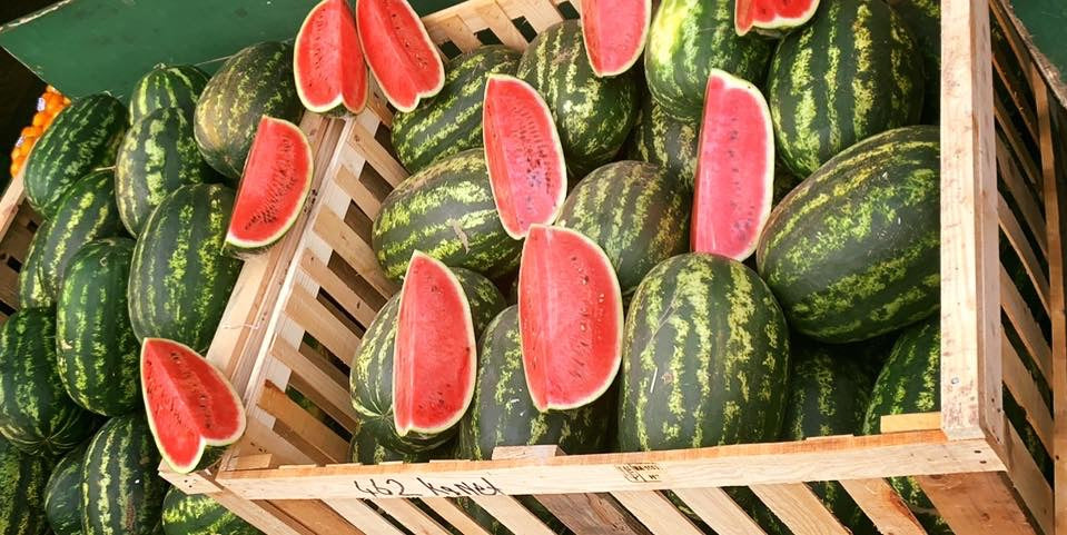 Watermelon 2-3kg Slice – The Online Greengrocer